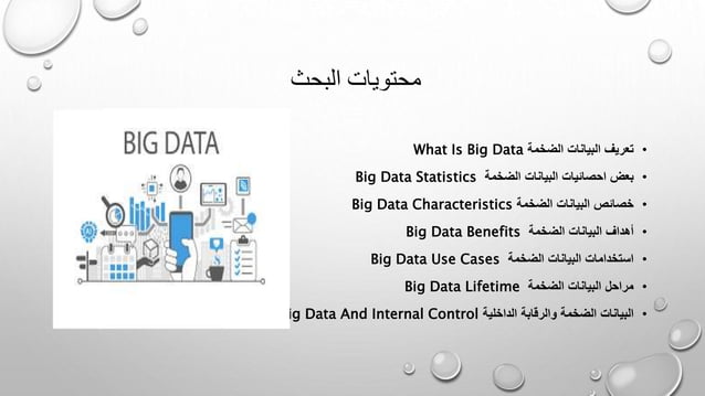 Big Data & Internal control.pptx
