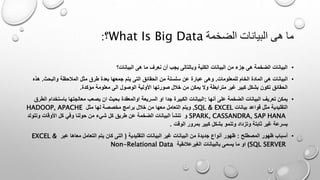 Big Data & Internal control.pptx