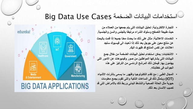 Big Data & Internal control.pptx