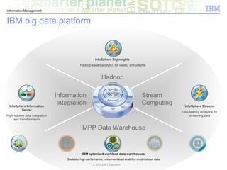 IBM Netezza - The data warehouse in a big data strategy | PPT ...