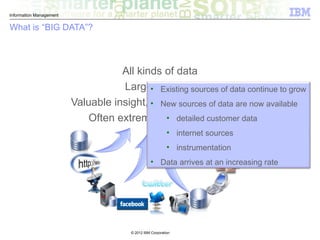 IBM Netezza - The data warehouse in a big data strategy | PPT ...