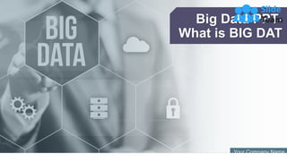 Big Data Ppt Powerpoint Presentation Slides | PPT