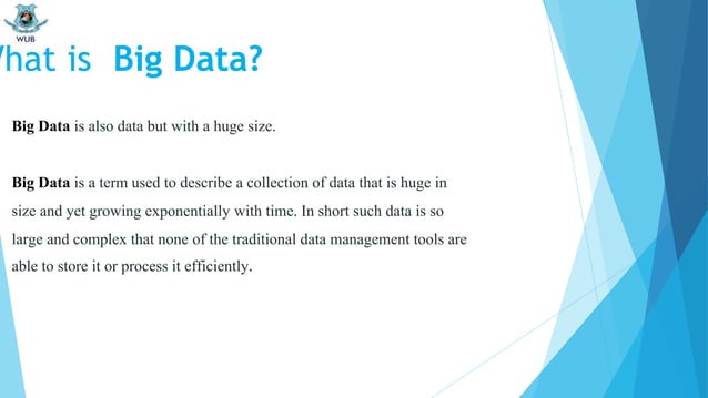 Presentation About Big Data (DBMS) | PPTX
