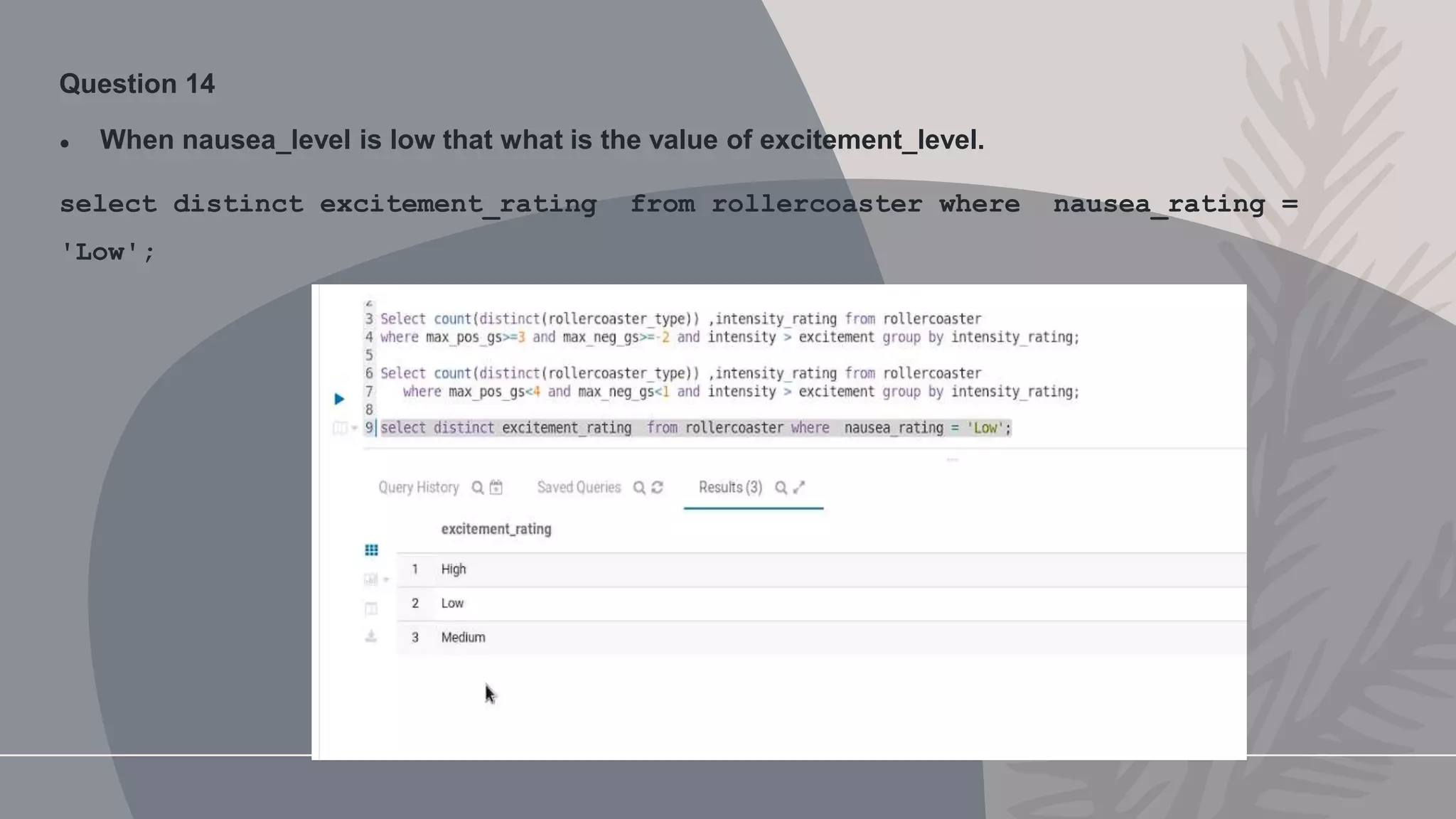 BIG DATA PROJECT – ROLLER COASTER DATA ANALYSIS.pptx