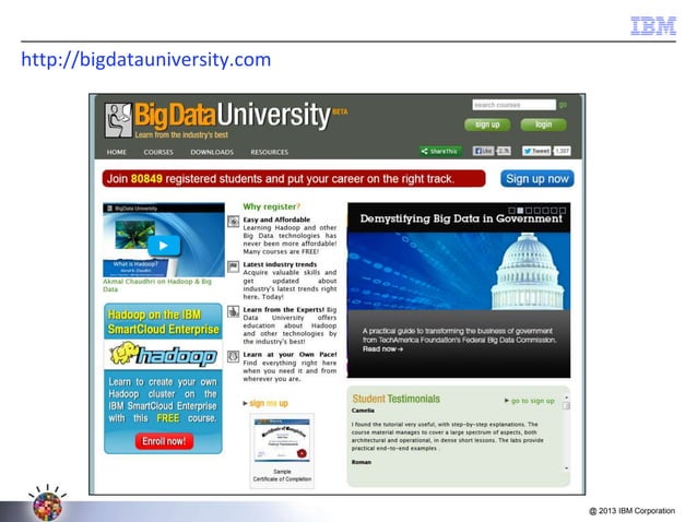 Big data roles overview july 2013 | PPT