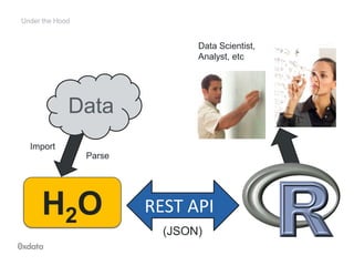 Big Data Science with H2O in R | PPT