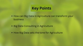 Big Data Solution in Agriculture.pdf