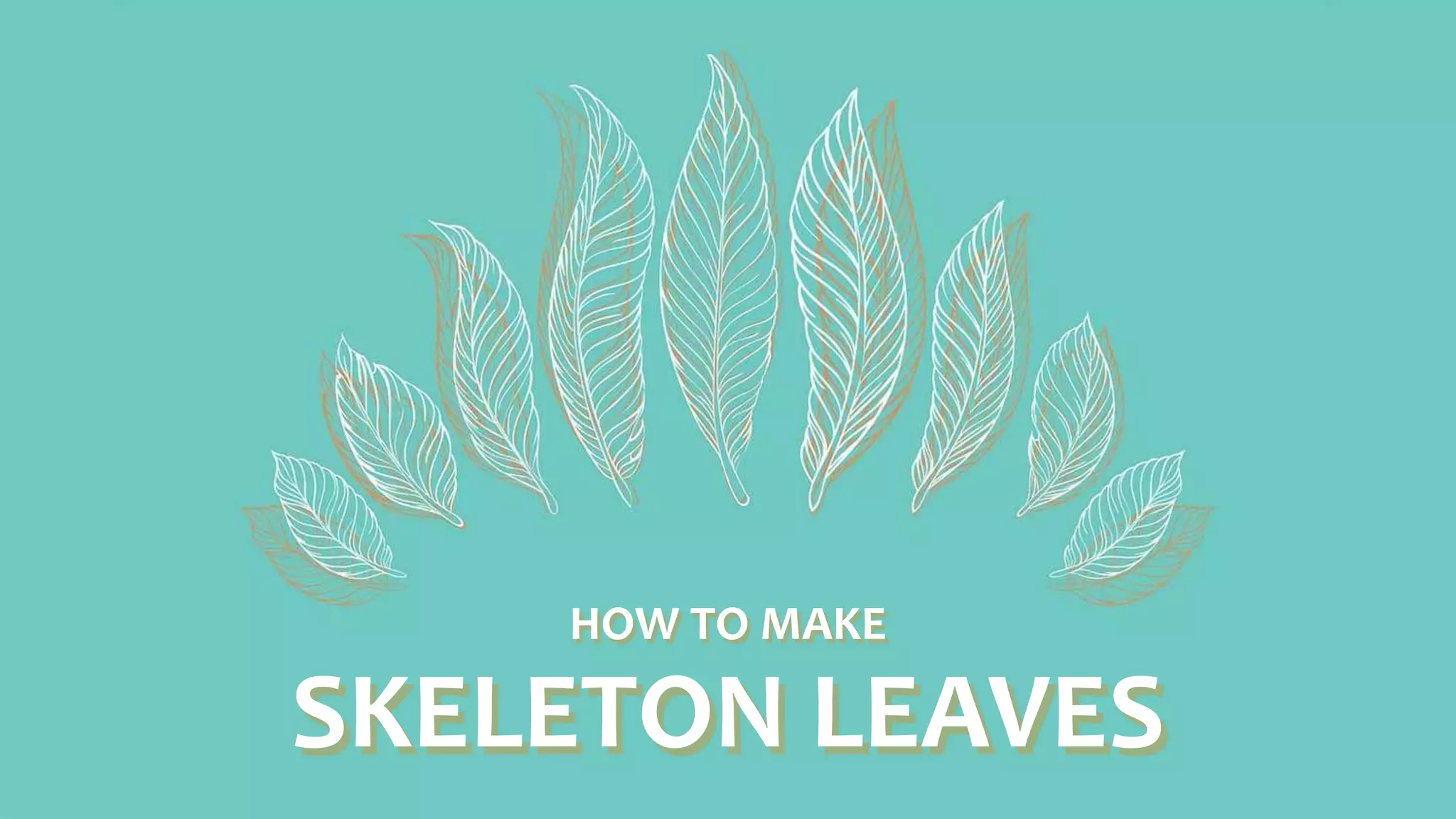 Teks Prosedur - How to Make Skeleton Leaves | PPTX