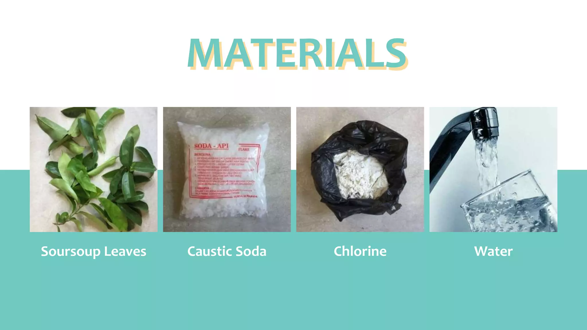 Teks Prosedur - How to Make Skeleton Leaves | PPTX