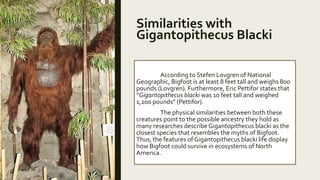 Bigfoot | PPT