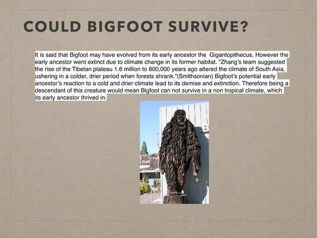 Bigfoot | PDF | Geography | Science