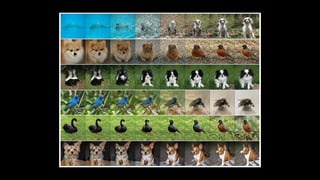 BigGAN: Large Scale GAN Training for High Fidelity Natural Image ...