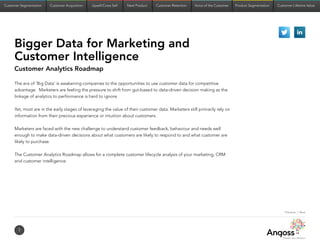 Bigger data for marketing and customer intelligence | PDF | Marketing ...