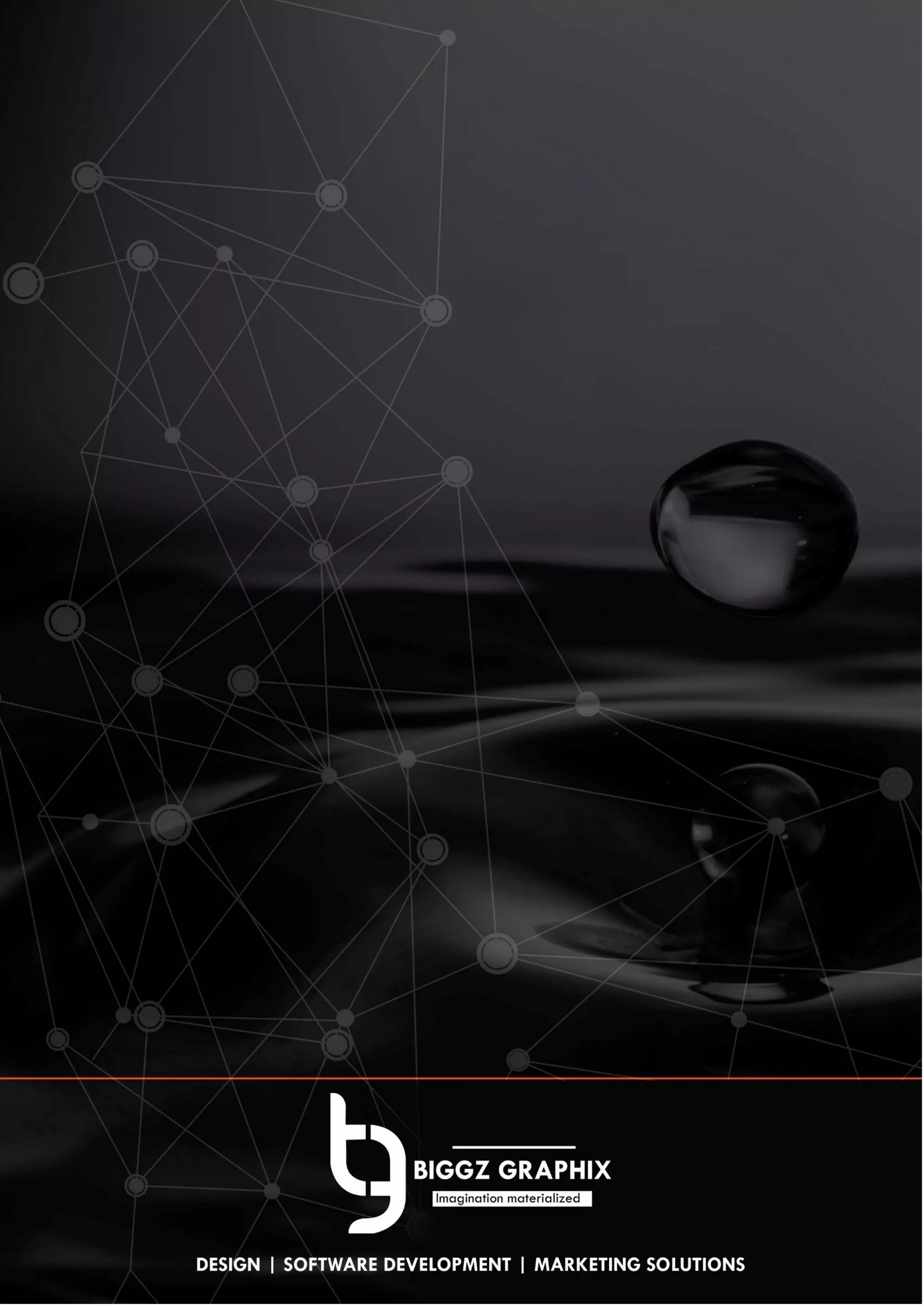 biggz graphix profile 1.pdf