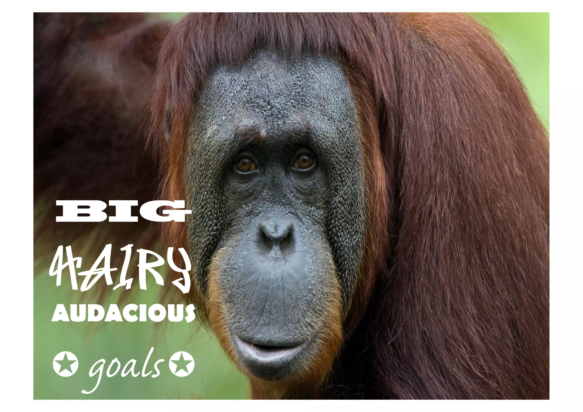 Big Hairy Audacious Goals | PPT
