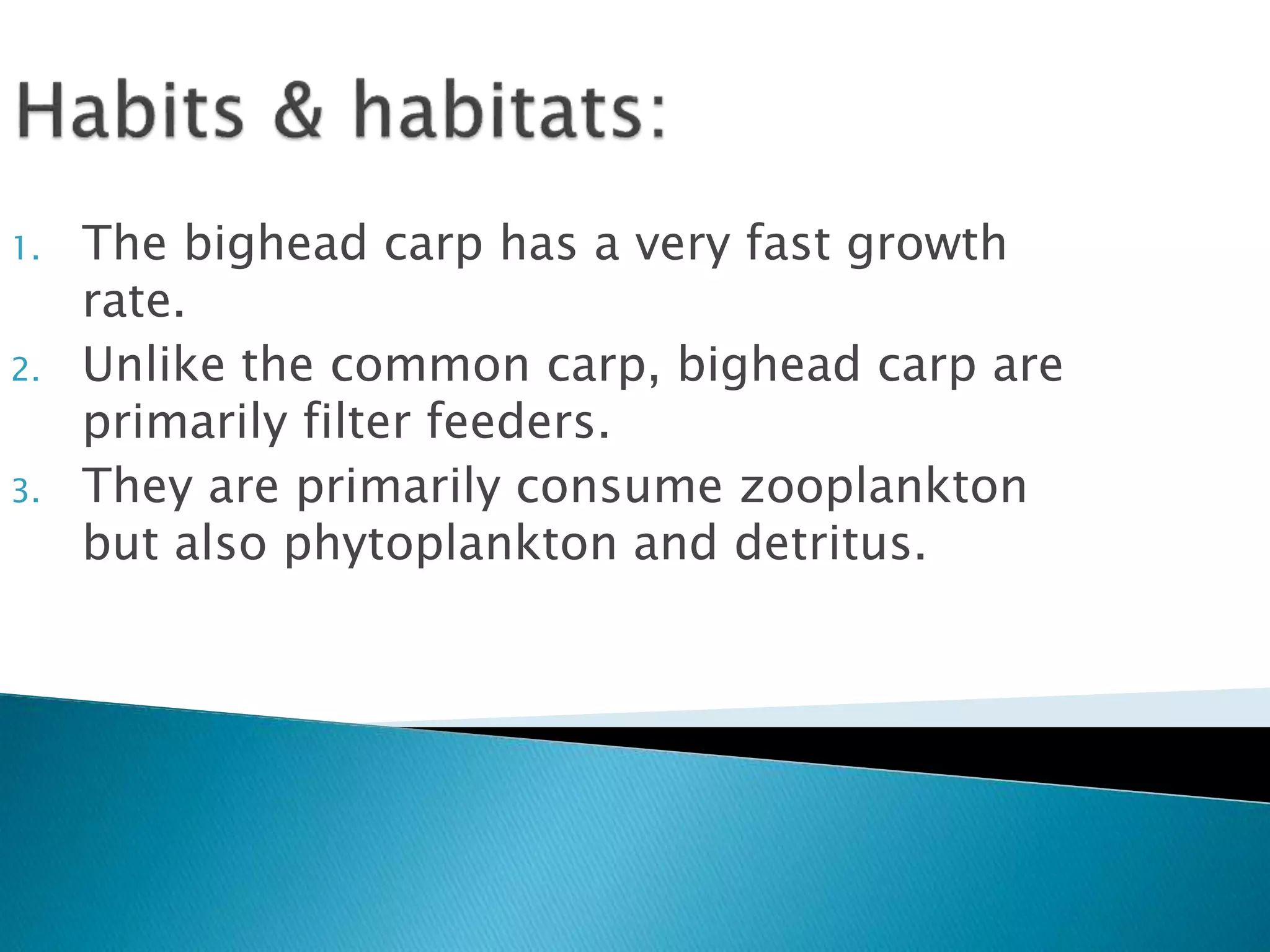 Big head carp(Aristichthys nobilis) | PPTX