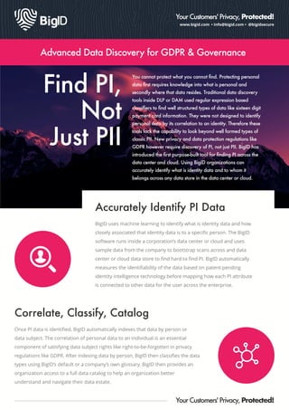 BigID PII & PI Discovery for GDPR Data Sheet | PDF