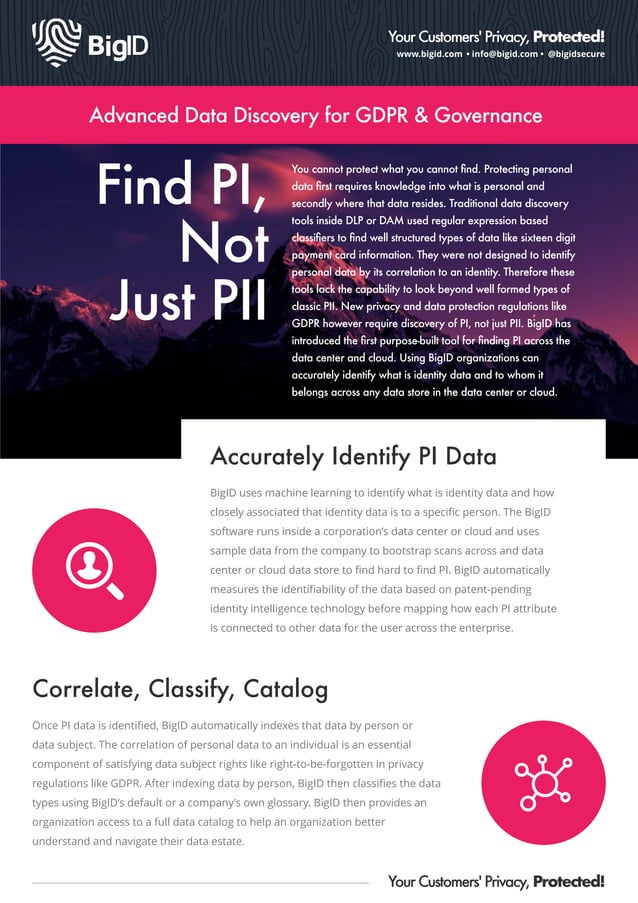 BigID PII & PI Discovery for GDPR Data Sheet | PDF