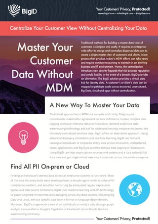BigID Virtual MDM Data Sheet | PDF