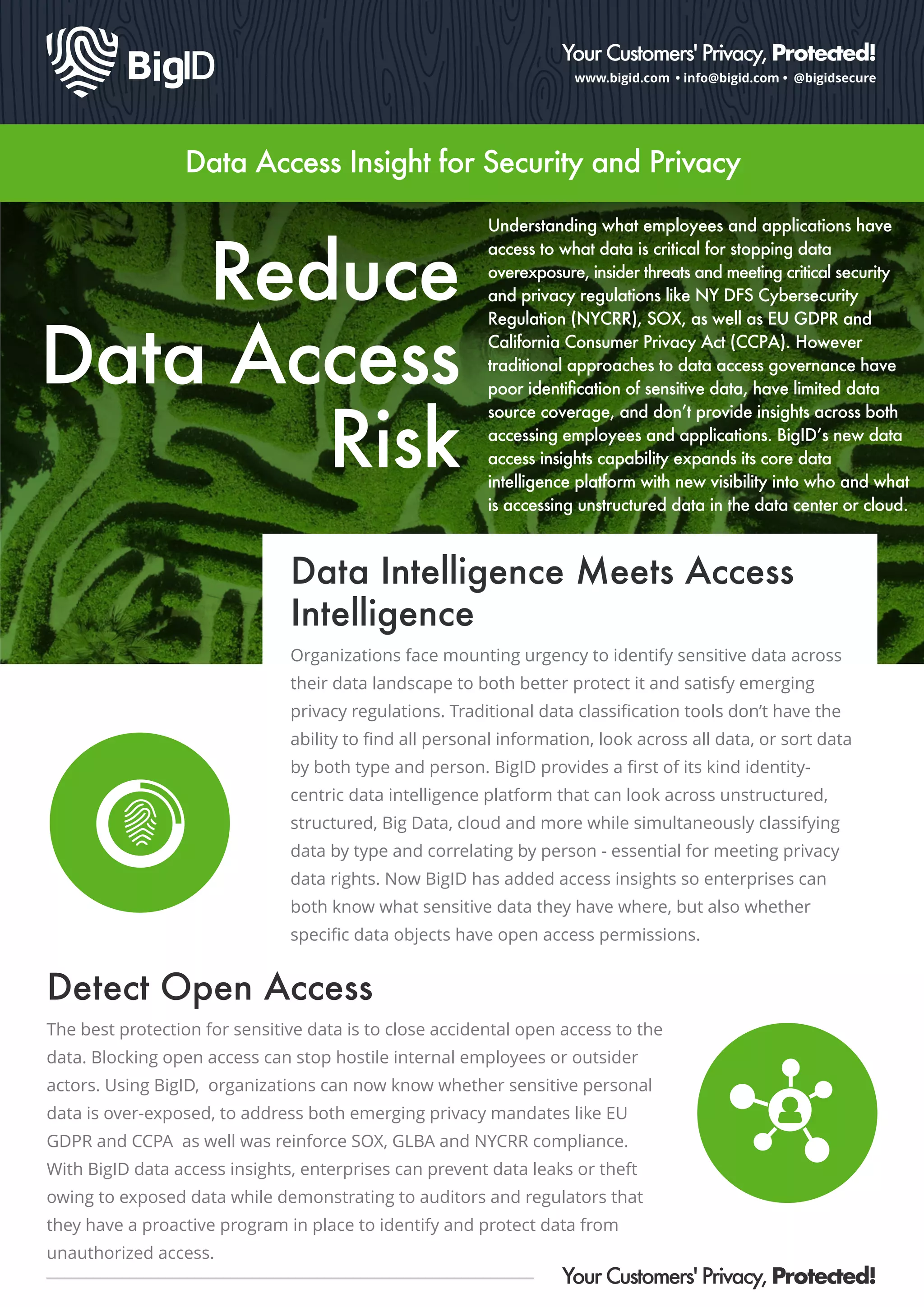 BigID DataSheet: Data Access Intelligence | PDF