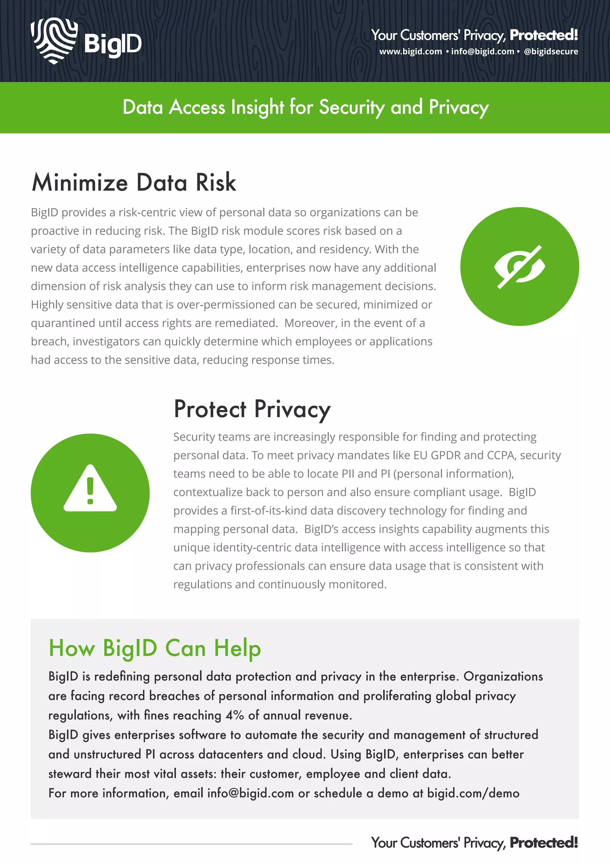 BigID DataSheet: Data Access Intelligence | PDF