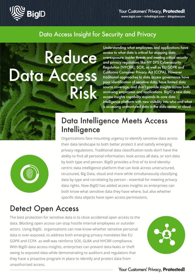 BigID DataSheet: Data Access Intelligence | PDF
