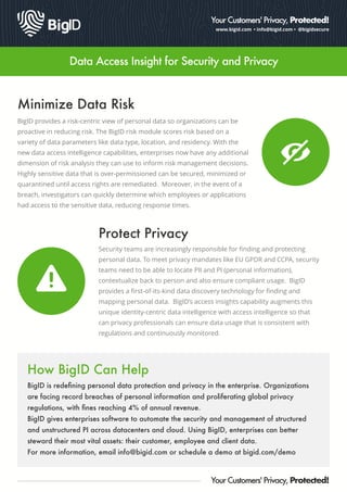 BigID DataSheet: Data Access Intelligence | PDF
