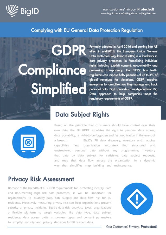 BigID PII Protection GDPR | PDF