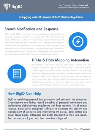 BigID PII Protection GDPR | PDF