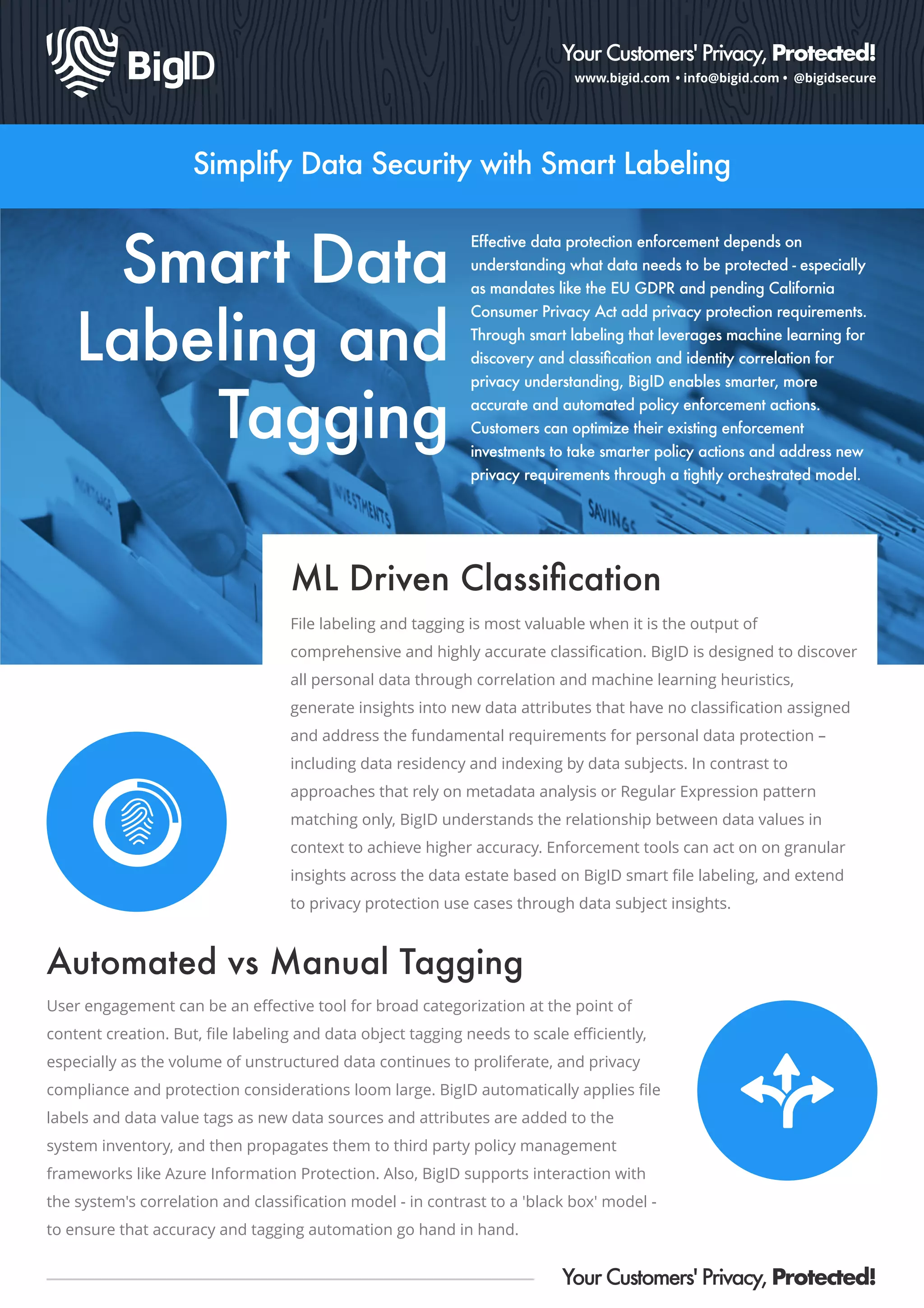 BigID's Smart Data Labeling and Tagging | PDF