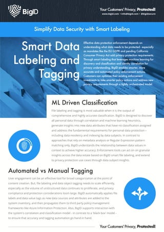 BigID's Smart Data Labeling and Tagging | PDF