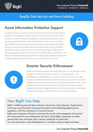 BigID's Smart Data Labeling and Tagging | PDF
