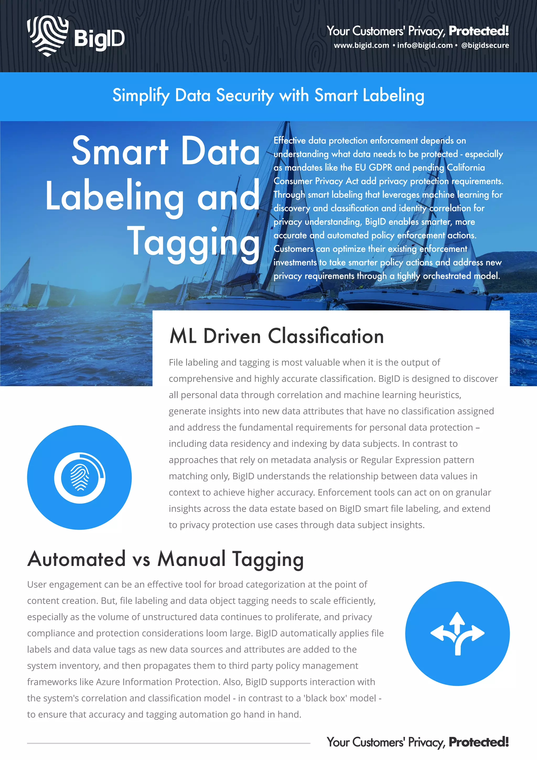 BigID Data Sheet: Smart Data Labeling and Tagging | PDF