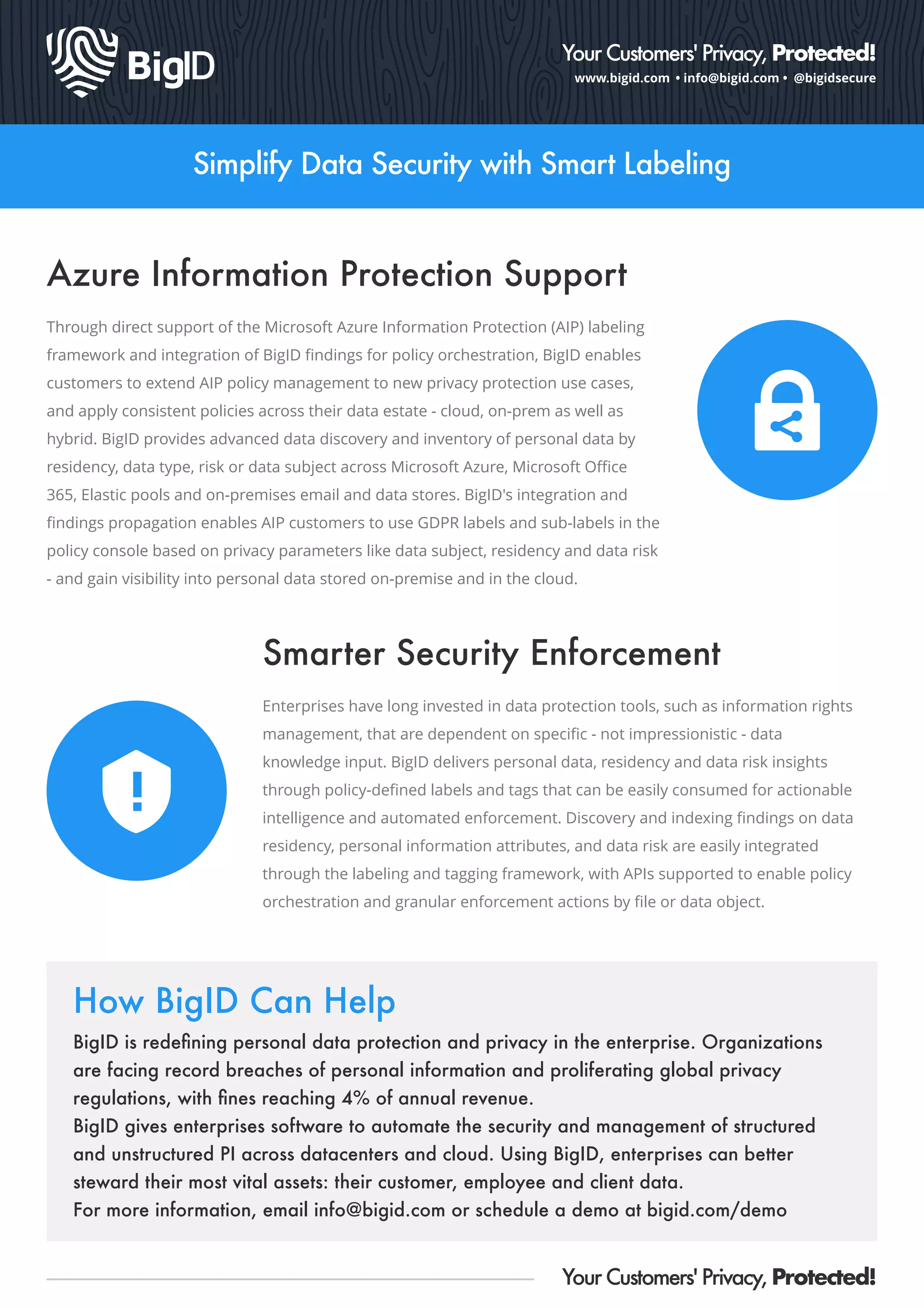 BigID Data Sheet: Smart Data Labeling and Tagging | PDF