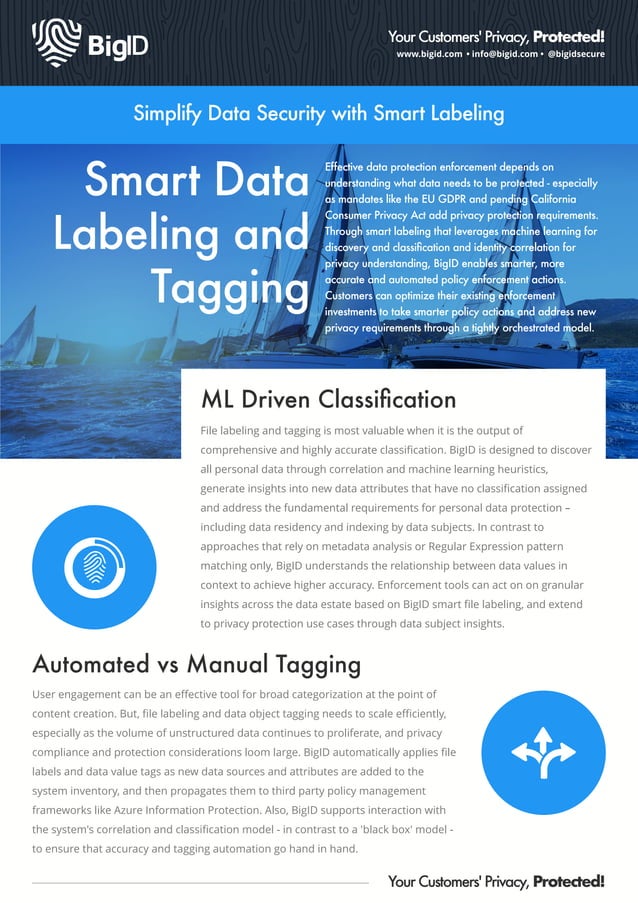 BigID Data Sheet: Smart Data Labeling and Tagging | PDF