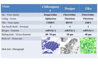Bài Giảng BỆNH DO VIRUS ZIKA.pdf