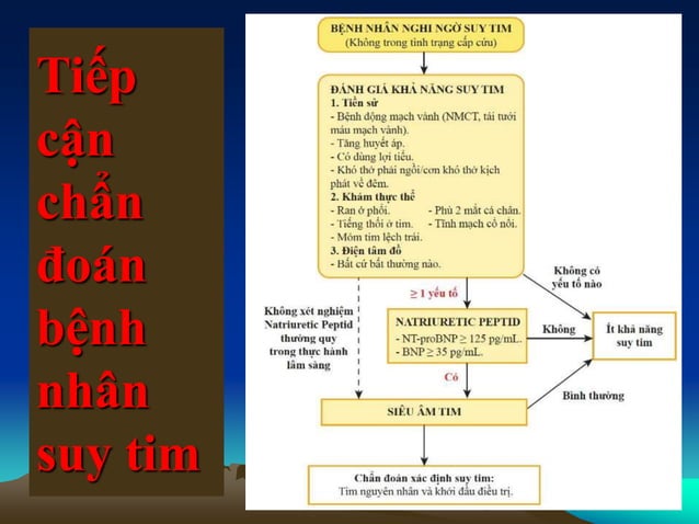 Bài giảng Suy tim BS Cầm.ppt