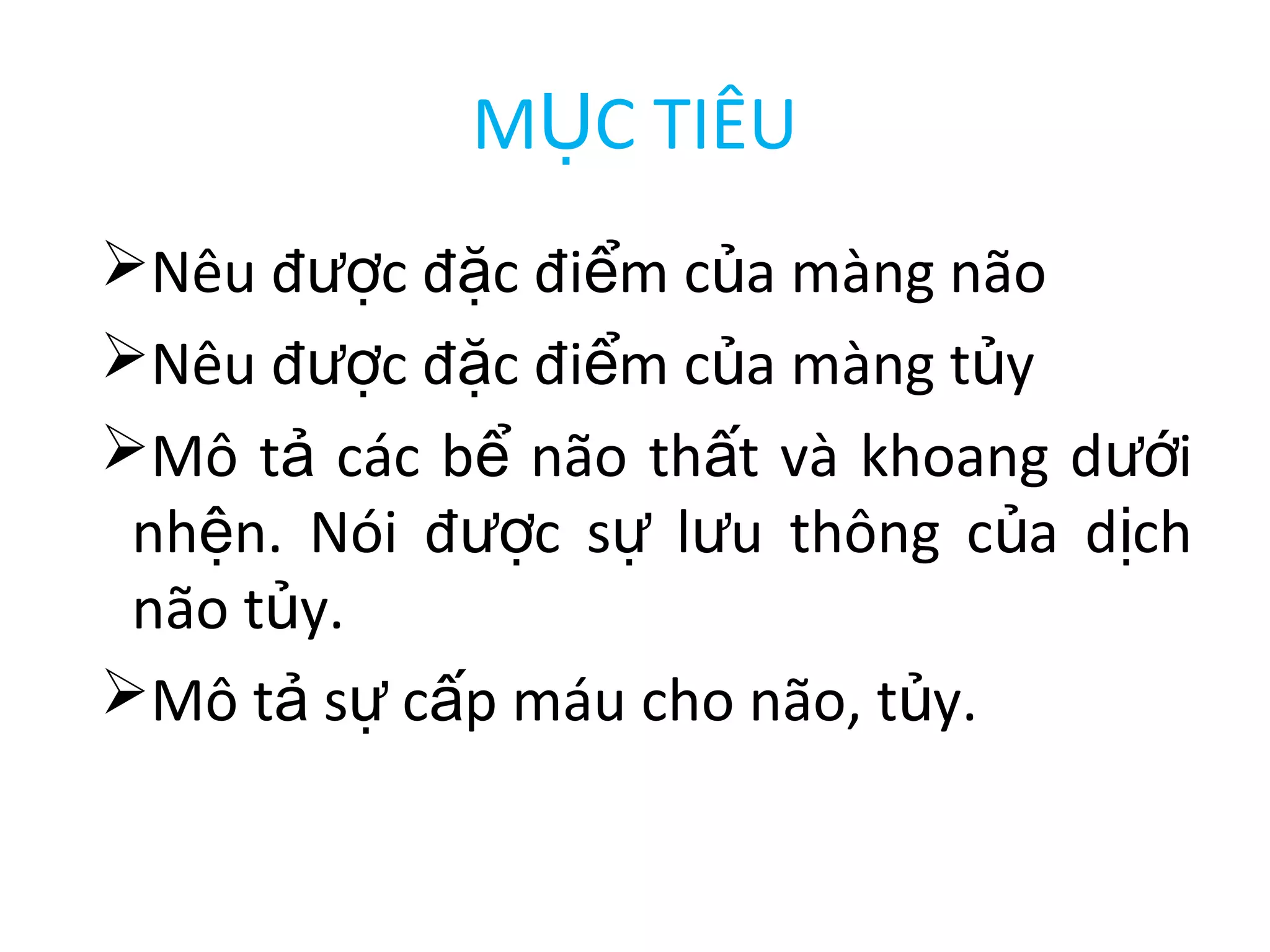 [Bài giảng, đầu mặt cổ] mang mach nao tuy | PPT