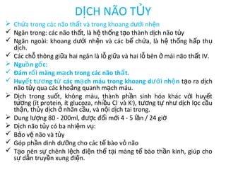 [Bài giảng, đầu mặt cổ] mang mach nao tuy | PPT