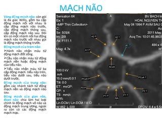 [Bài giảng, đầu mặt cổ] mang mach nao tuy | PPT