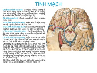 [Bài giảng, đầu mặt cổ] mang mach nao tuy | PPT