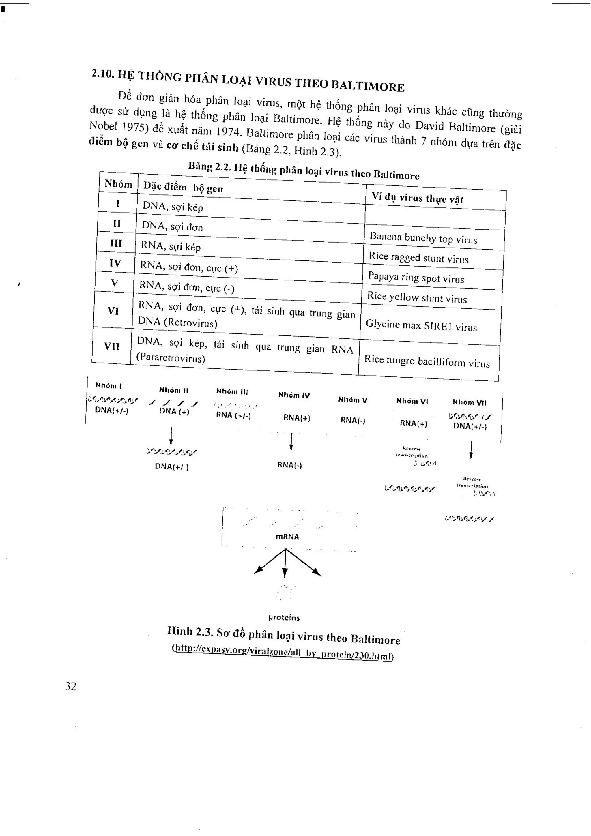 Bài giảng Virus thực vật, phytoplasma và viroid.pdf