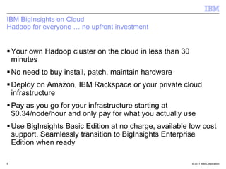 IBM Big Data in the Cloud | PPT