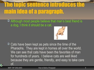 Big mac paragraph | PPT