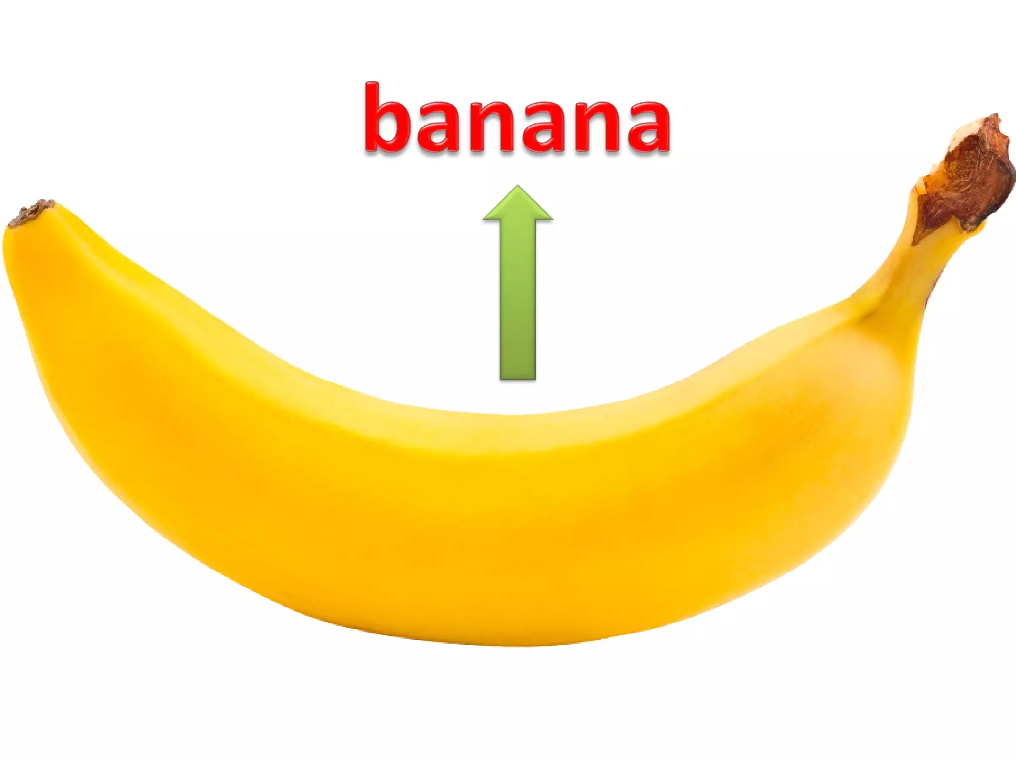 Big Monkey, Little Monkey Vocabulary ppt | PPT