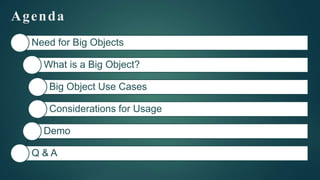 Big objects in Salesforce Technology | PPTX