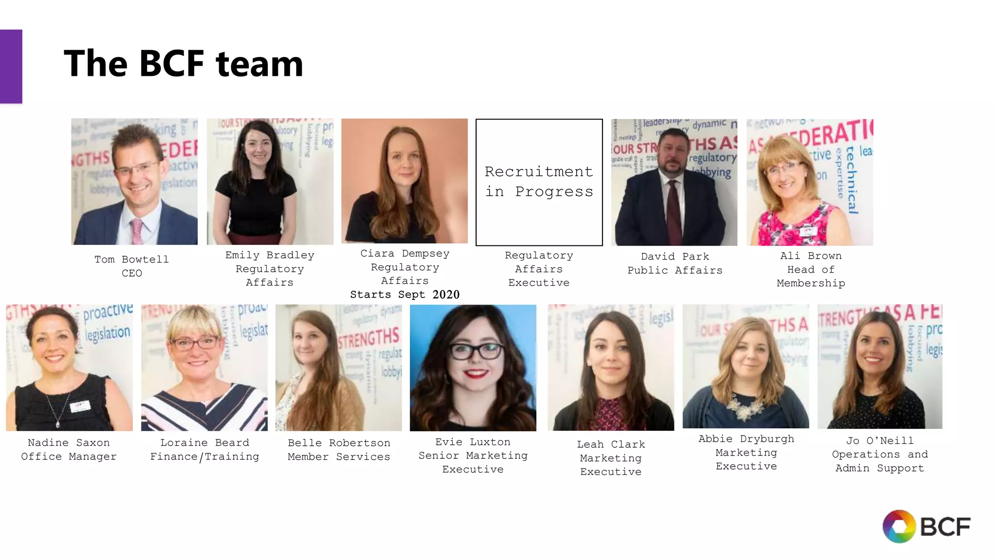 BCF Big Picture | PPTX