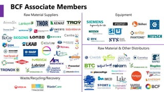 BCF Big Picture | PPTX