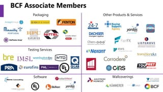 BCF Big Picture | PPTX