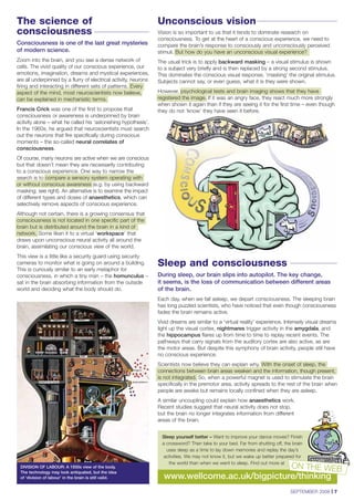 Big Picture On Thinking | PDF